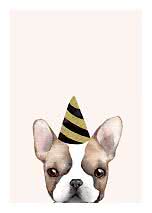Kids animal poster – Party Dog No.2 | Postery