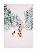 Nature poster – Snowy Dog Walk | Postery