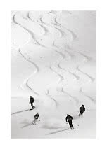 Ski poster – Skiing Down the Slope | Postery