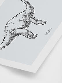 Kids animal poster – Diplodocus Dinosaur | Postery